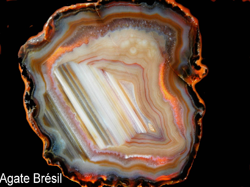 Galerie grandes photos